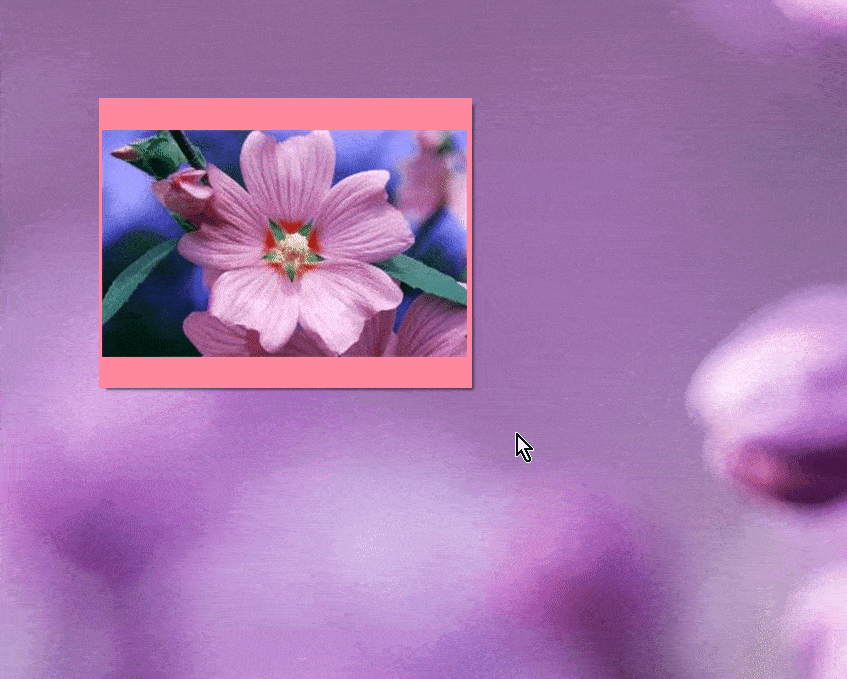 What's new in Notezilla 9 - Sticky notes app for Windows, Android ...